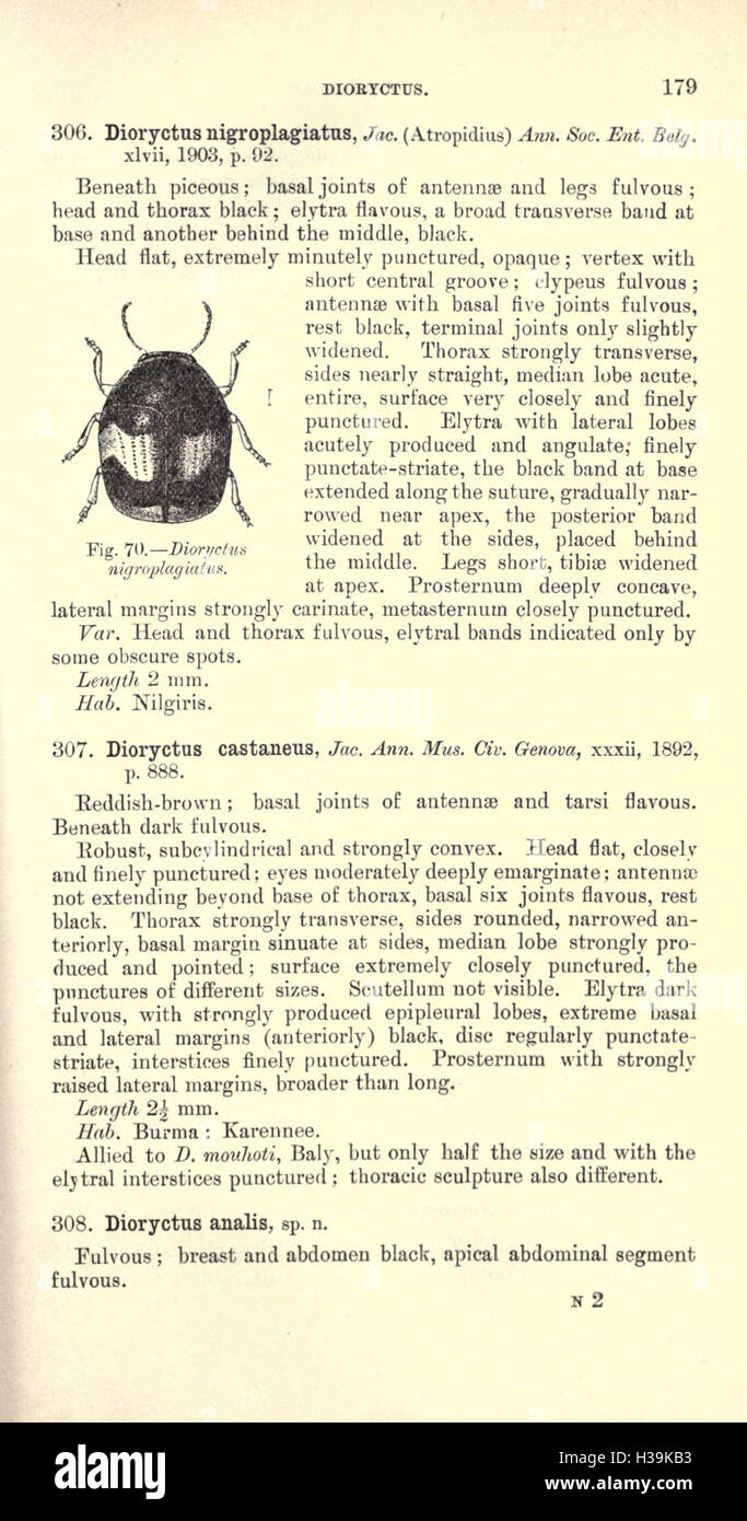 This page of Coleoptera presents detailed illustrations and ...