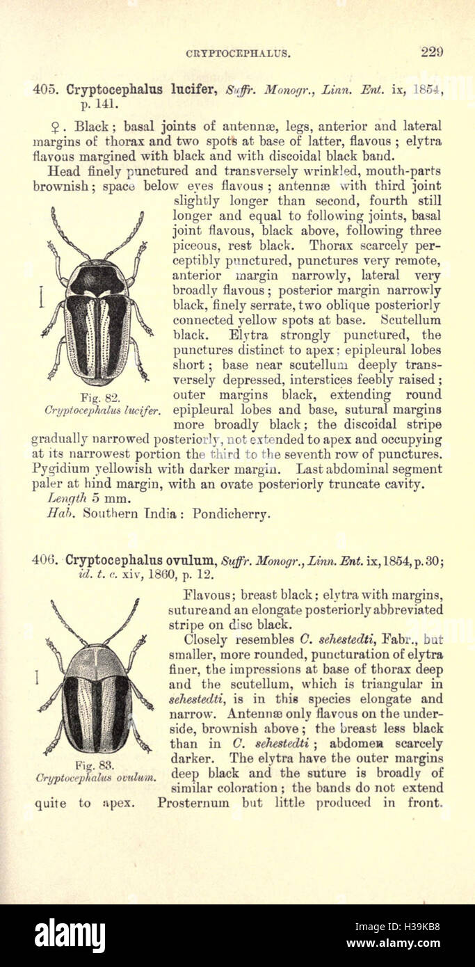 This section provides a study on coleoptera, focusing on the diversity ...