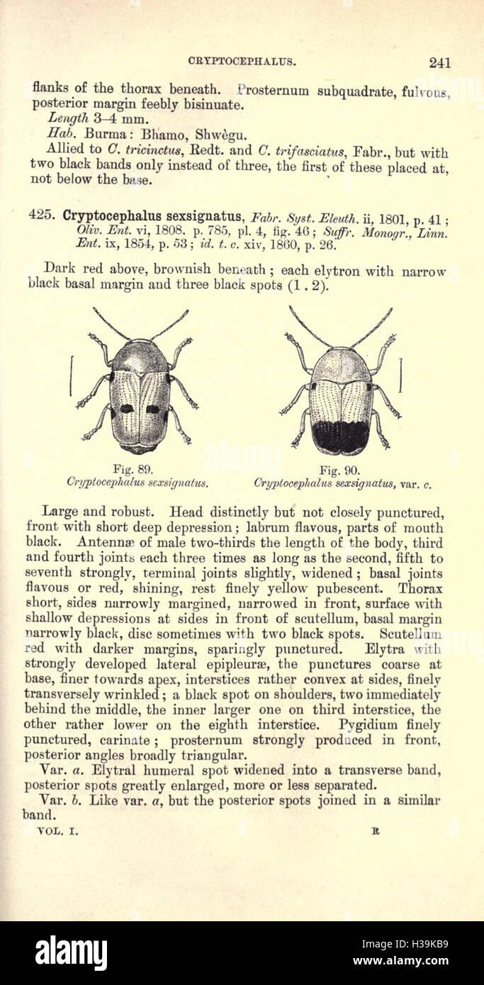 This work focuses on the Coleoptera, a large order of insects known as ...