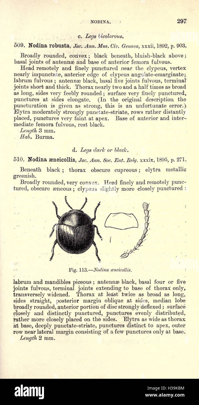 This section covers the beetle family, Coleoptera, one of the largest ...
