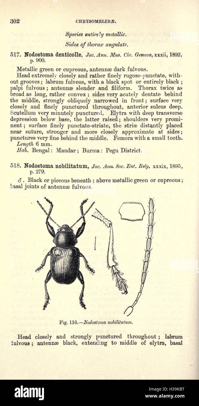 A comprehensive guide to the study of Coleoptera, the order of beetles ...