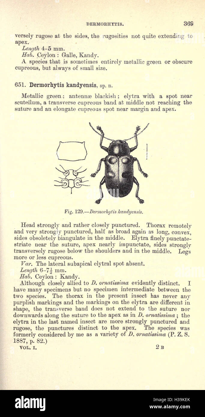 This work covers the order Coleoptera, also known as beetles, providing ...