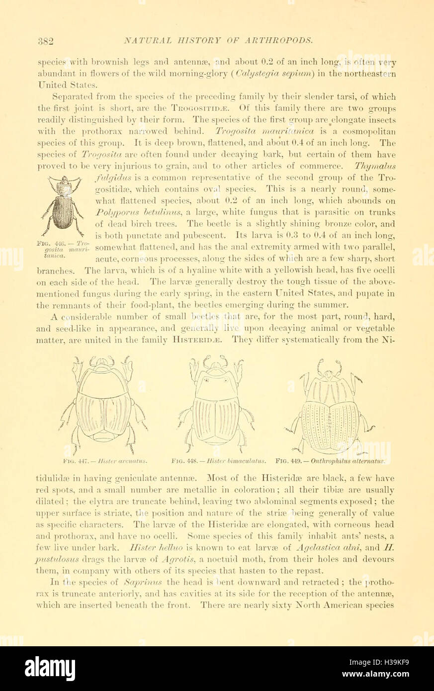 This work provides a detailed study of Coleoptera, covering their ...