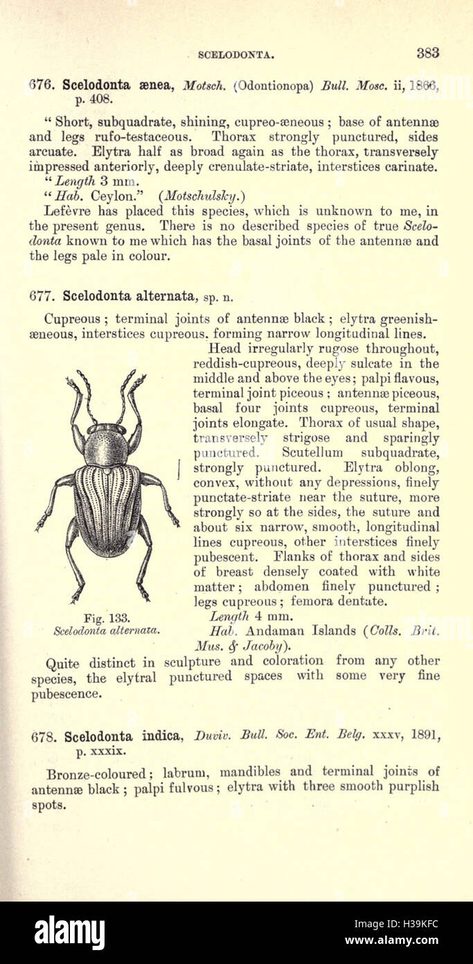 This book explores the Coleoptera order of insects, particularly beetles, providing insights ...