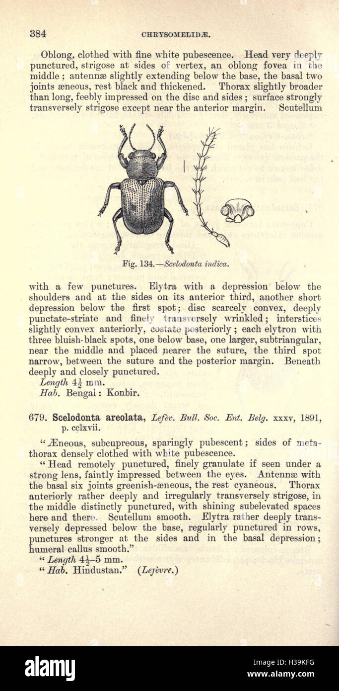 This work focuses on Coleoptera, a large order of insects known for ...