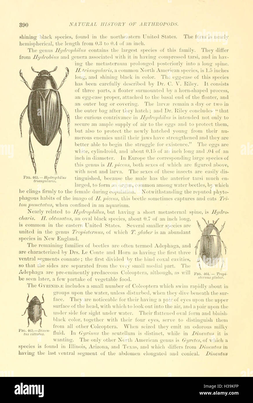 This page provides an overview of the Coleoptera order of insects ...