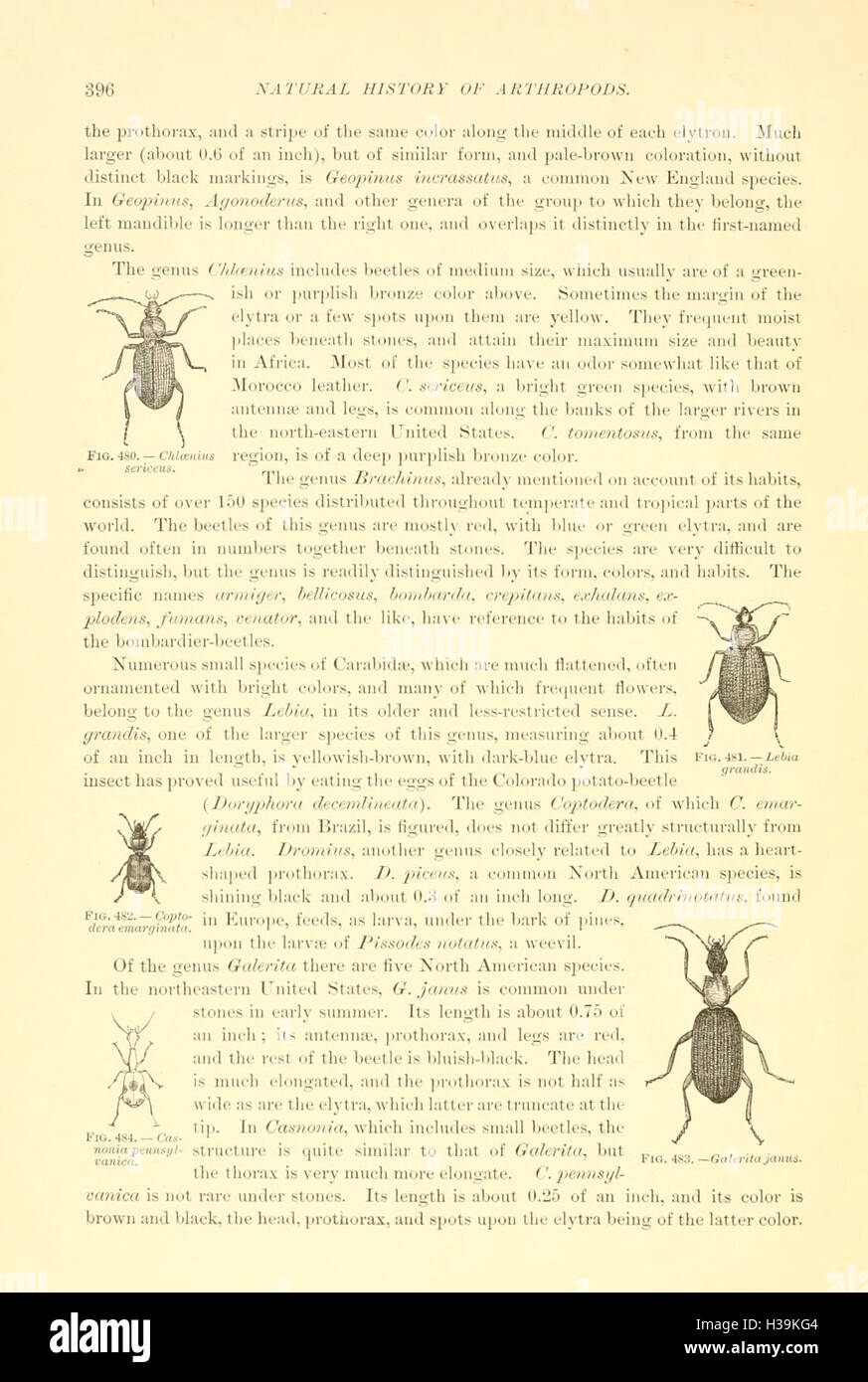 This work covers the classification, identification, and ecological ...