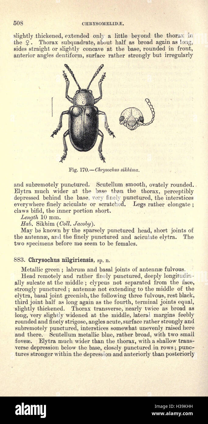 This work provides an extensive study of Coleoptera, the largest order ...