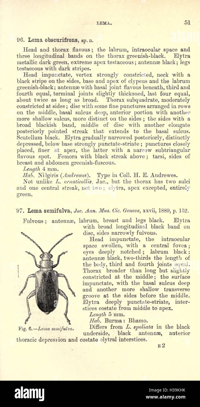 This text provides an in-depth study of the Coleoptera order, the ...
