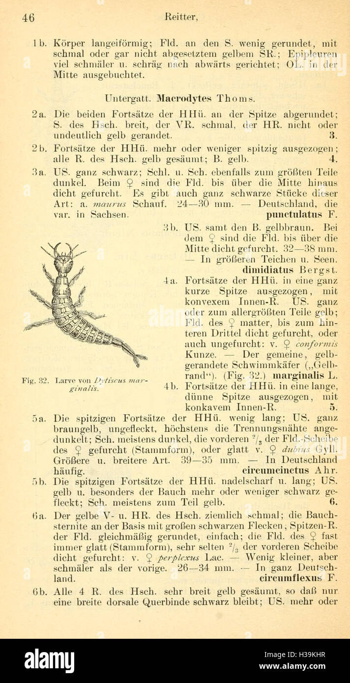 This work details the Coleoptera order of insects, examining their ...