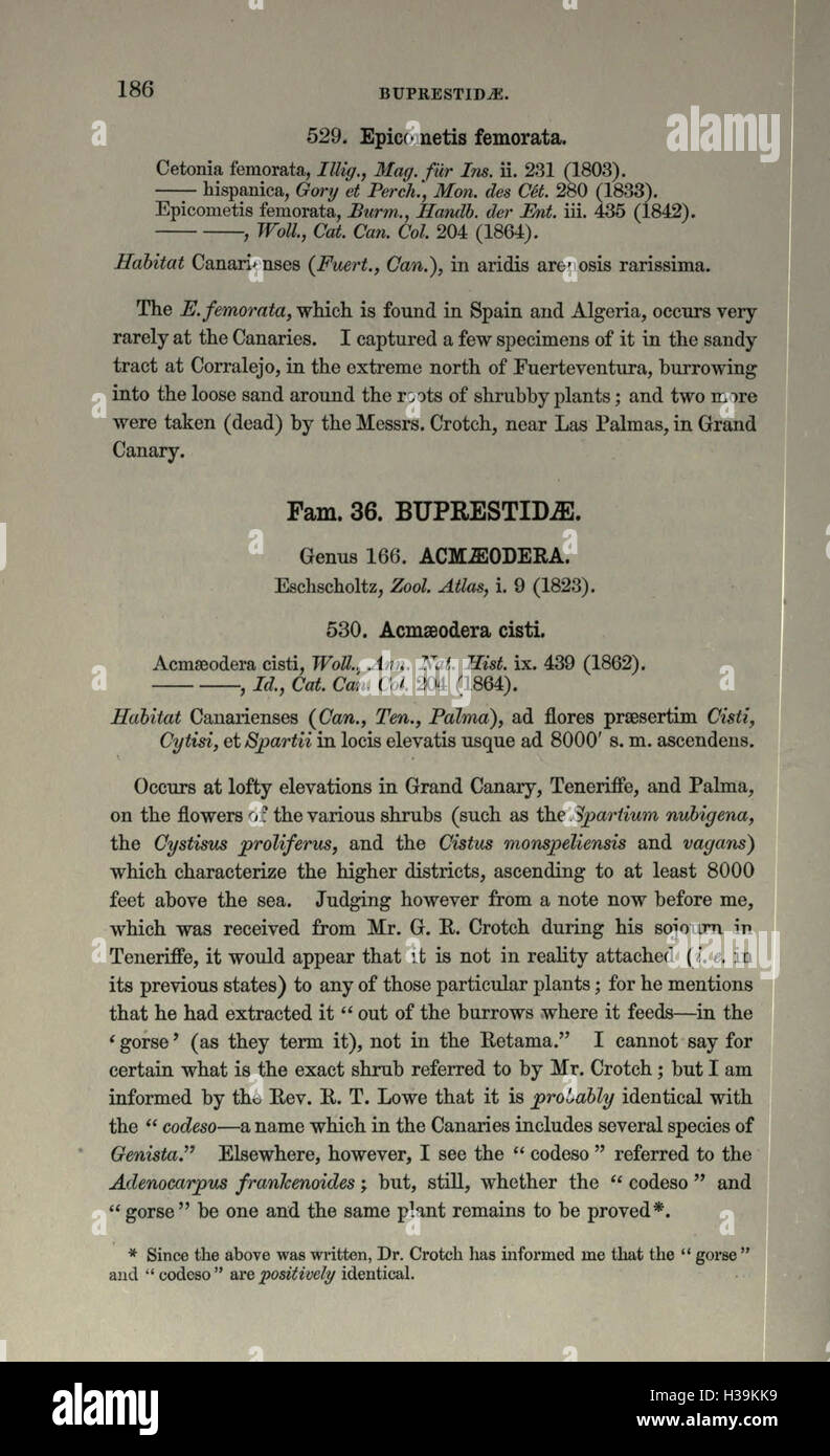 This work explores the species of Coleoptera found in the Atlantic ...