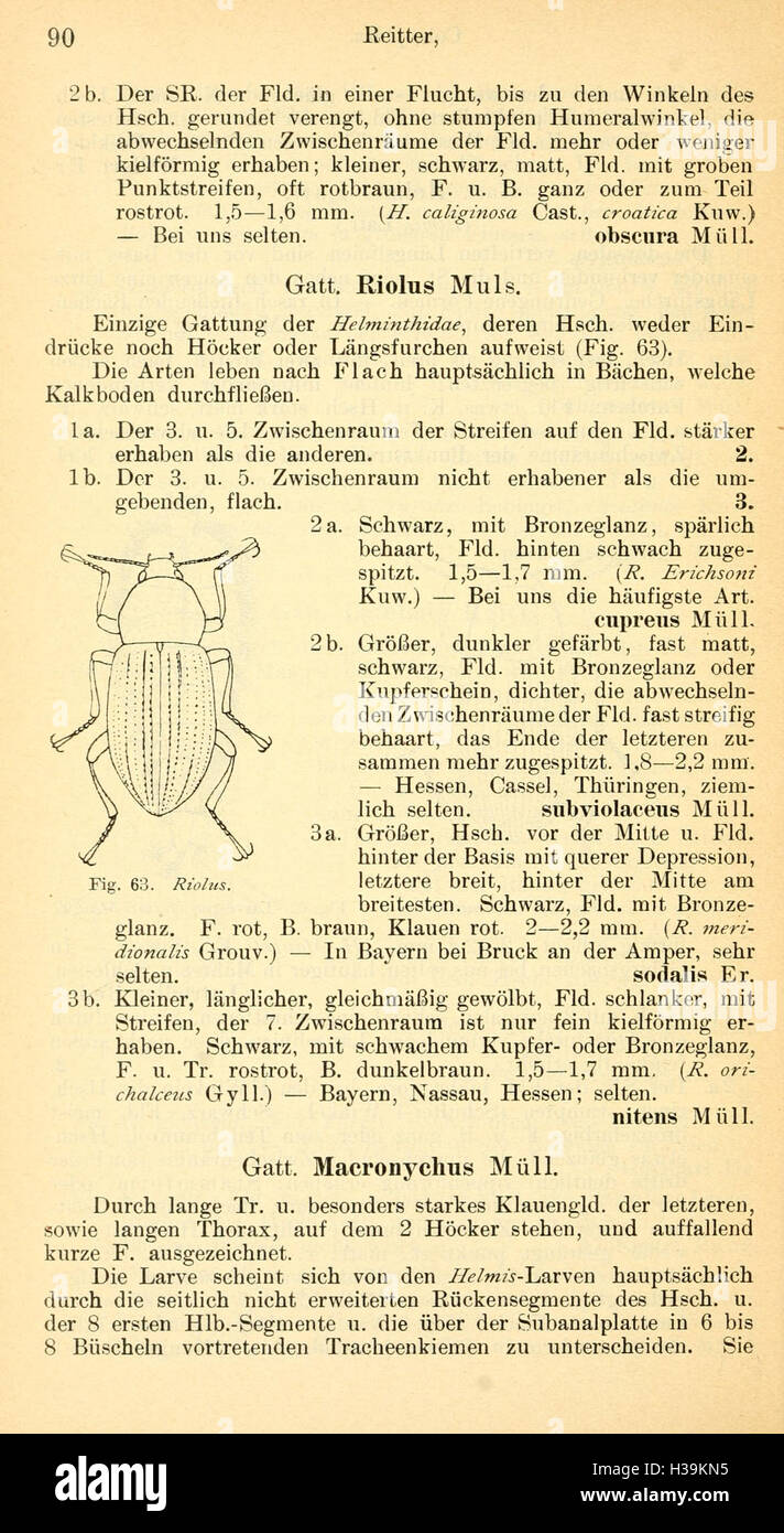 This work focuses on the beetle order Coleoptera, covering various ...