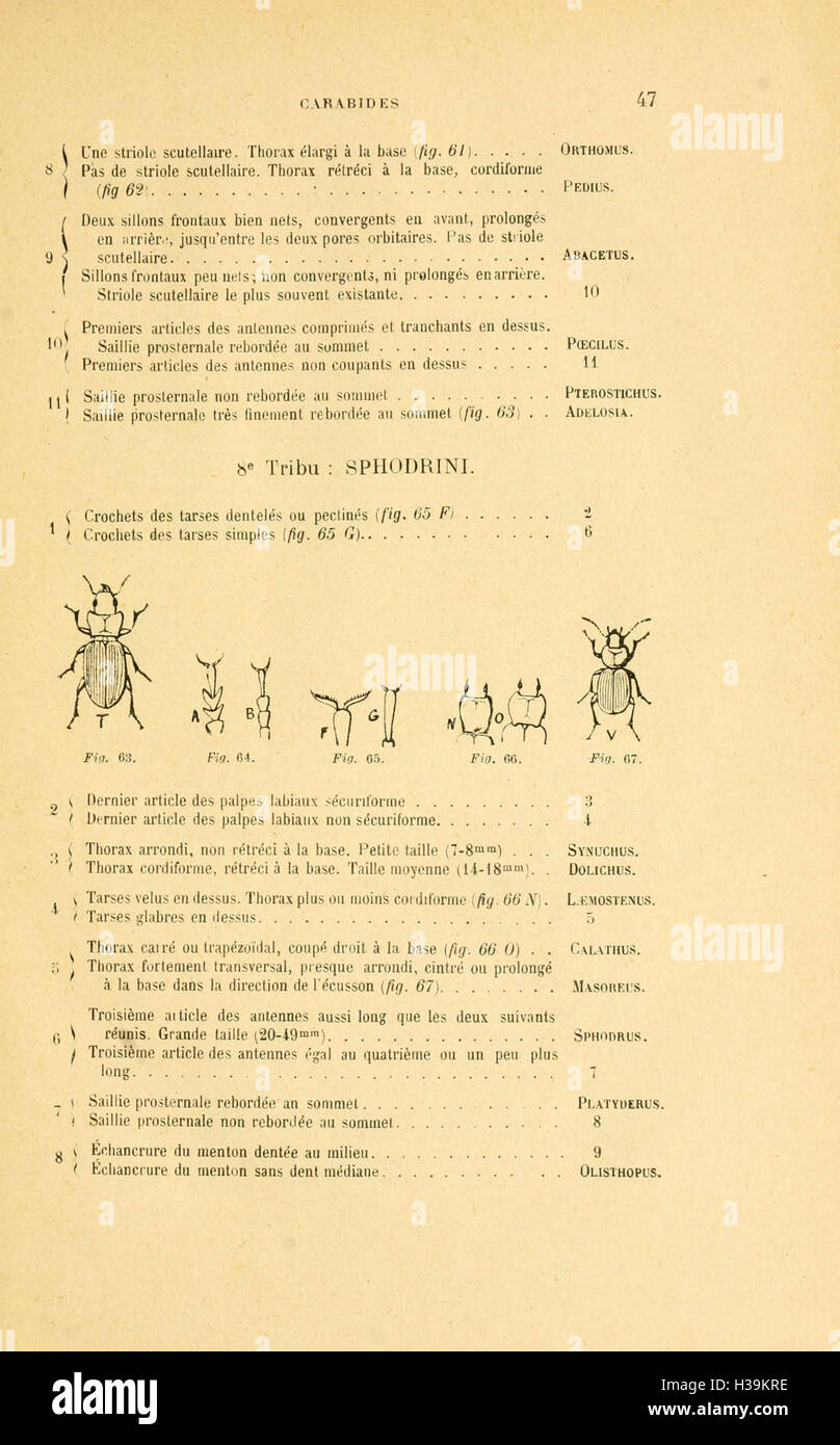 Coléoptères provides a comprehensive study of beetles, covering their ...