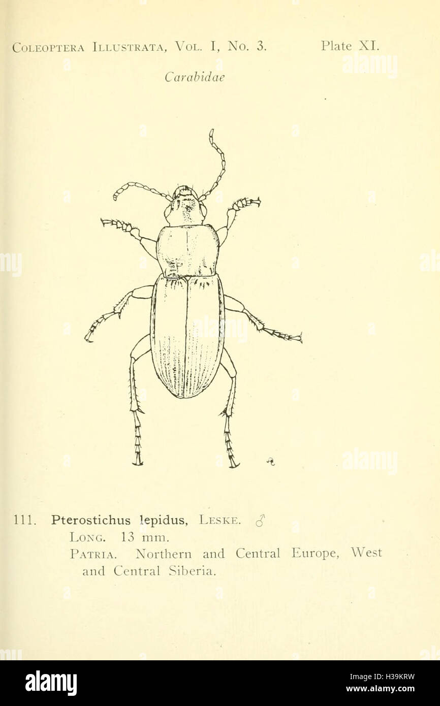 This work provides a detailed illustration and classification of ...