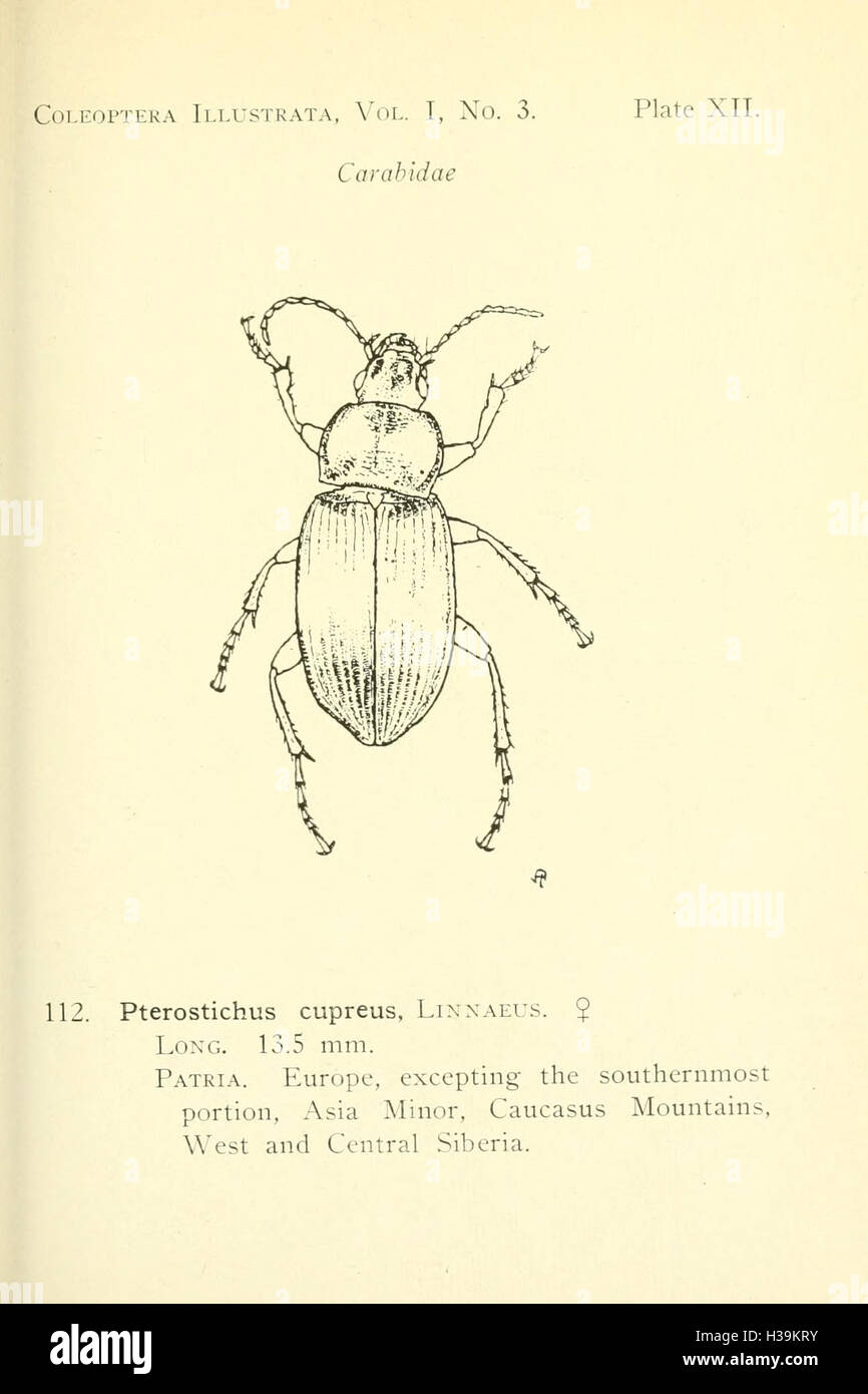 This work provides detailed illustrations and descriptions of various ...