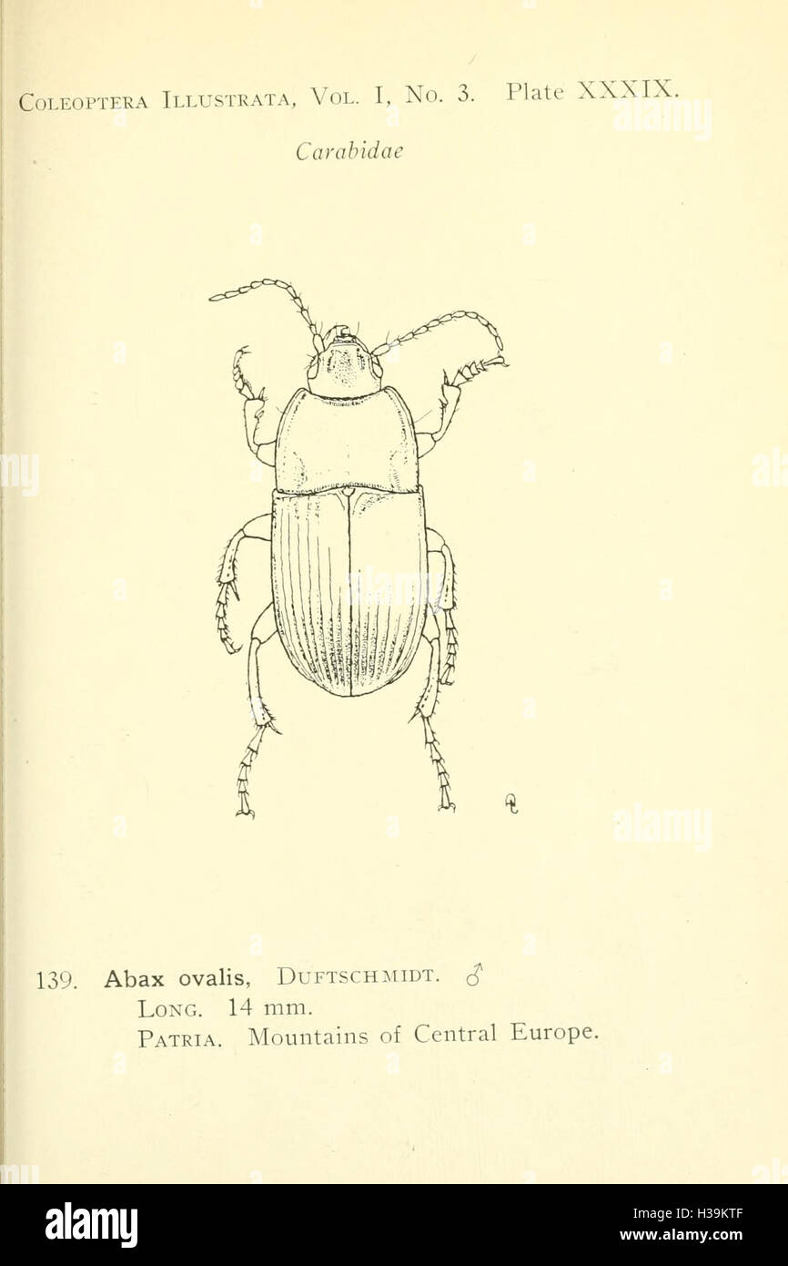 This work features an illustrated guide to the Coleoptera order ...
