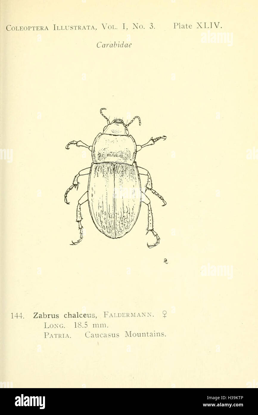 Illustrated descriptions hi-res stock photography and images - Alamy