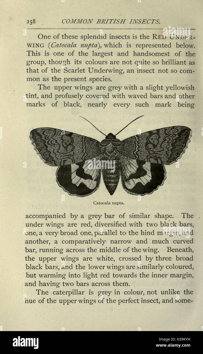 This work focuses on the common insects of Great Britain, with a ...