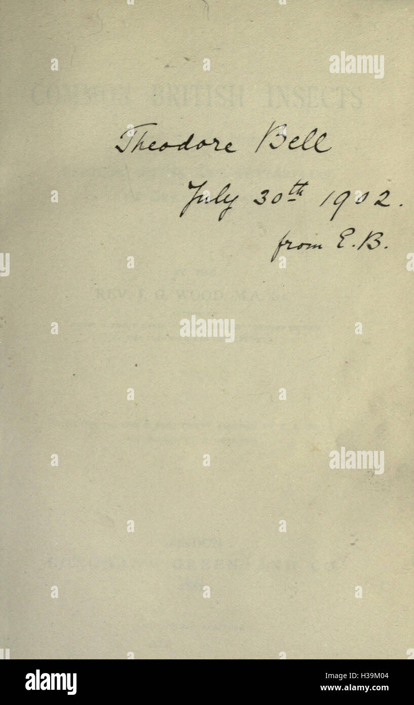 This page presents a selection of common British insects, focusing on ...