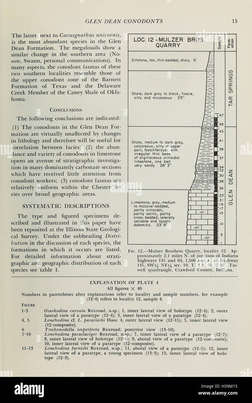 Conodont types hi-res stock photography and images - Alamy