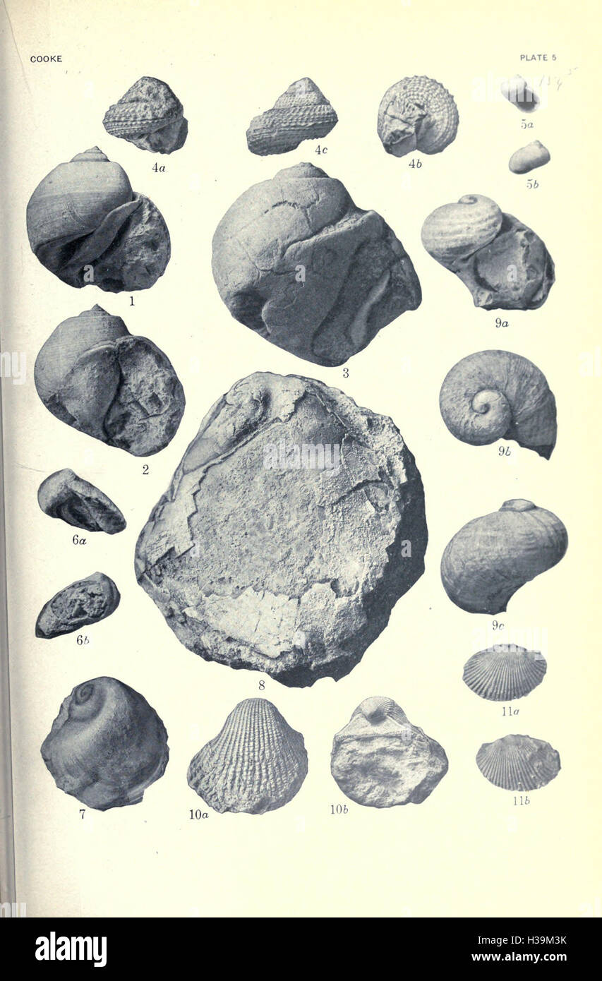 This study contributes to the understanding of the geological and ...