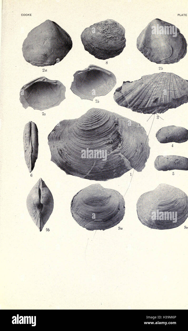 This text offers a detailed examination of the geology and paleontology ...