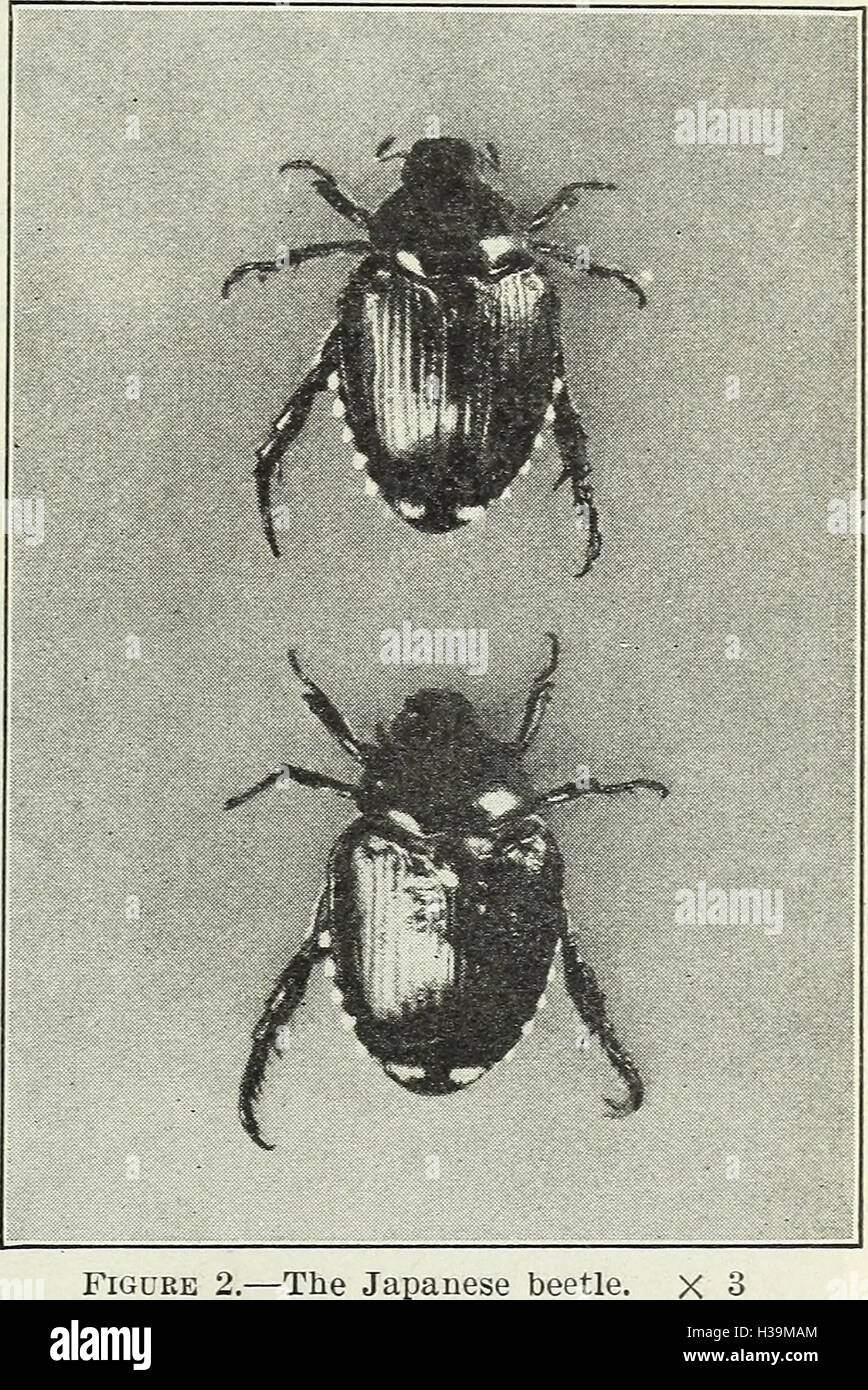 This report provides methods for controlling the Japanese beetle ...
