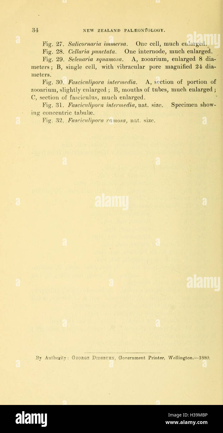 A study of the corals and bryozoans from New Zealand’s neozoic period ...