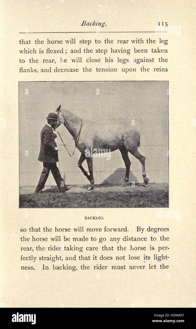 This work explores different types of horse tack, including the curb ...