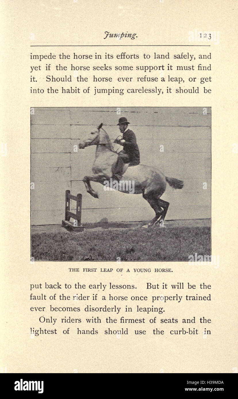 A detailed guide to the various types of horse tack, including the curb ...