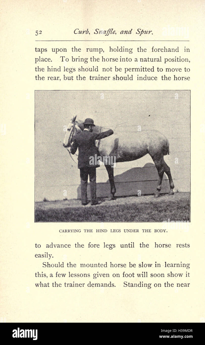 This page discusses the different types of horse tack, focusing on curb ...