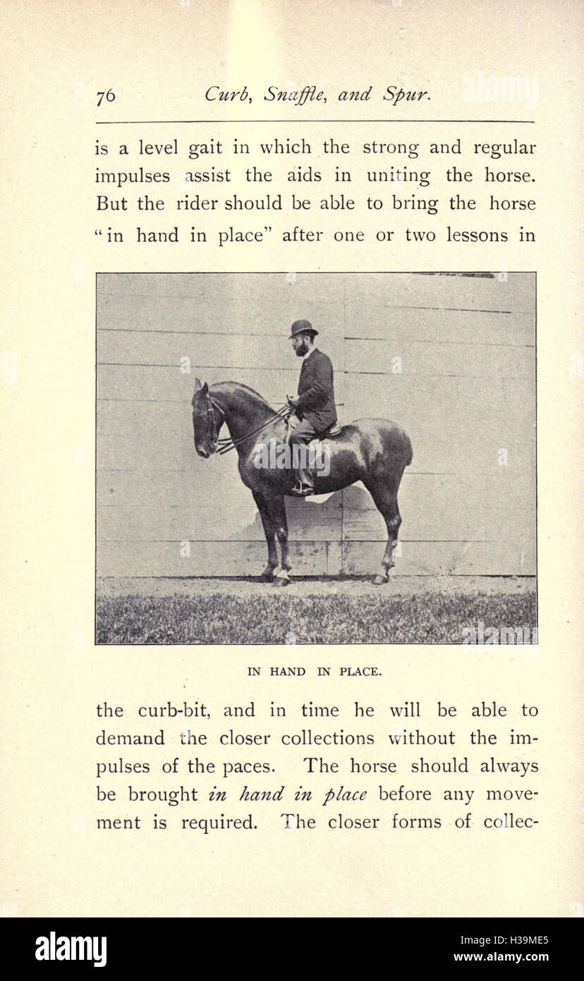 Equestrian tools hi-res stock photography and images - Alamy