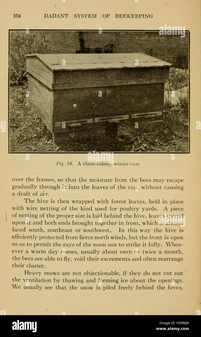 This text introduces the Dadant system of beekeeping, a popular method ...