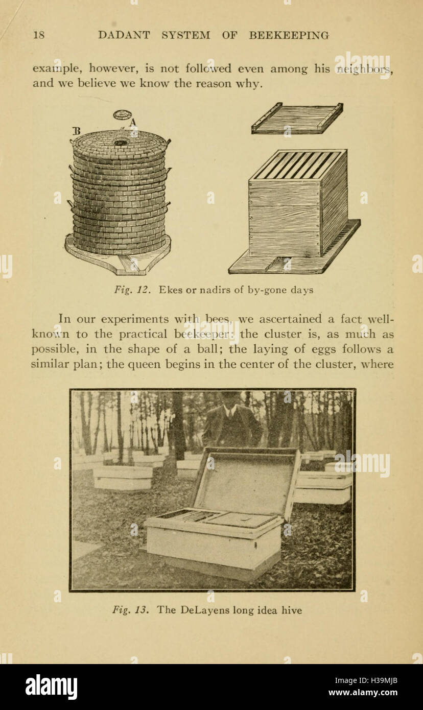 The Dadant system of beekeeping is a well-known method that focuses on ...