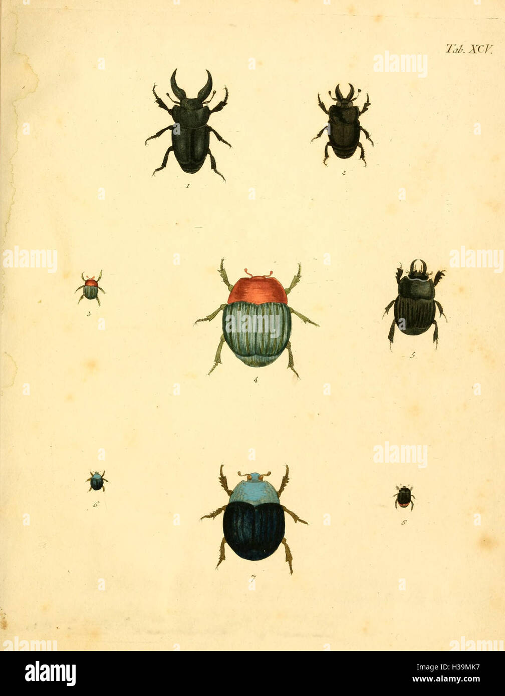 Xcv font hi-res stock photography and images - Alamy