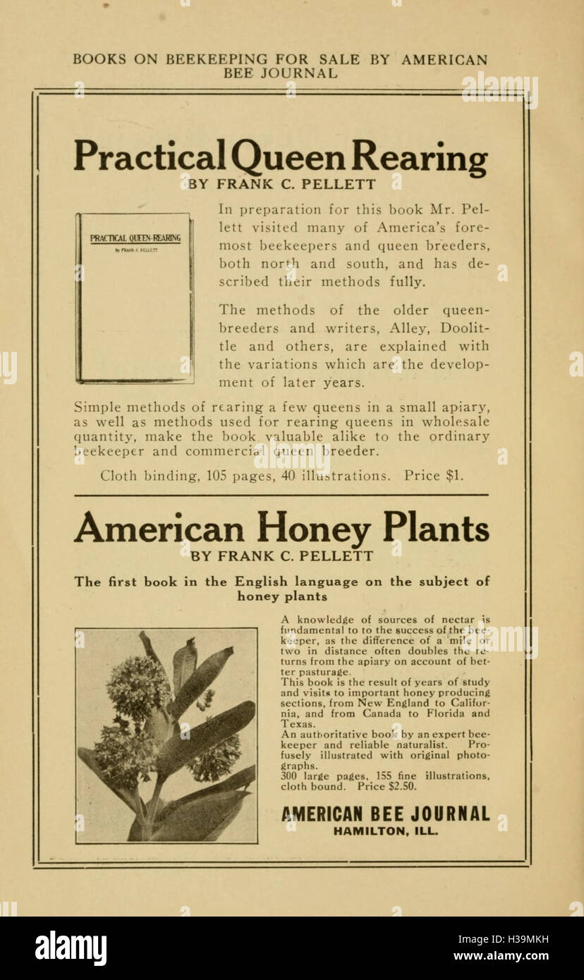 The Dadant system of beekeeping is a popular method focused on large ...