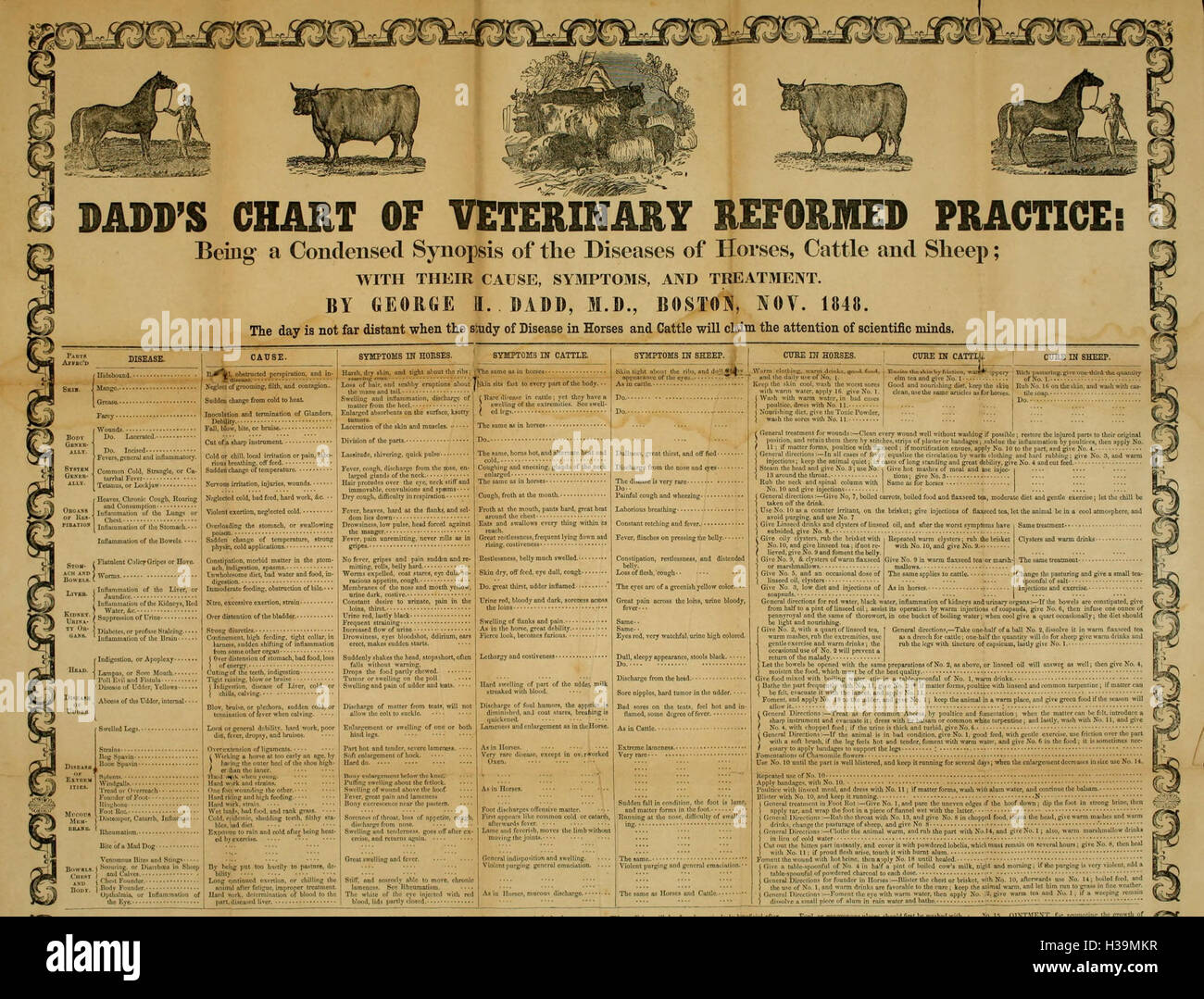 This title describes a veterinary chart based on reformed practices ...