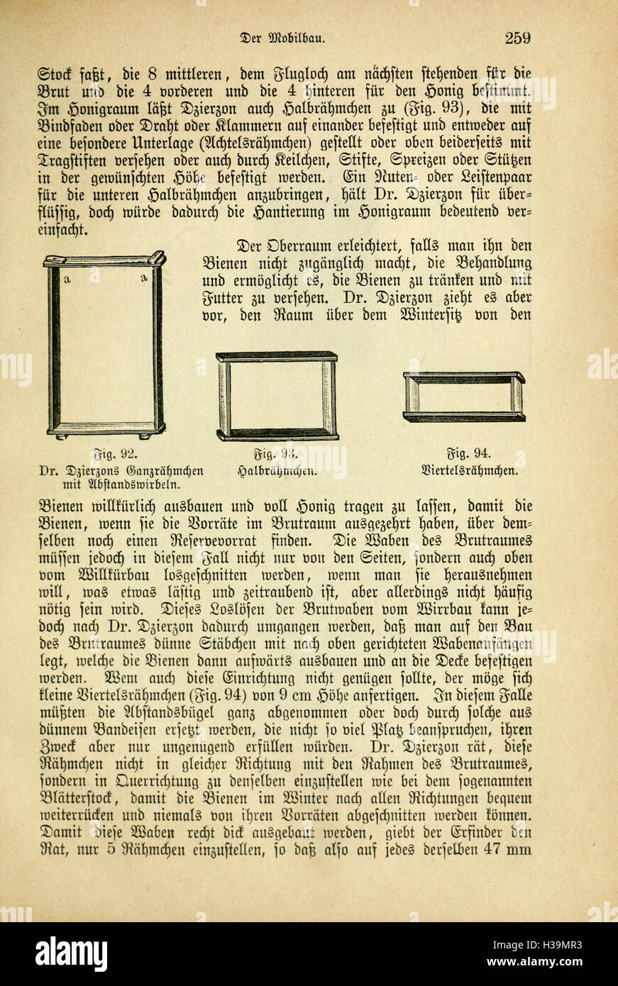 A page from 'Das Buch von der Biene' (The Book of the Bee), a work by ...