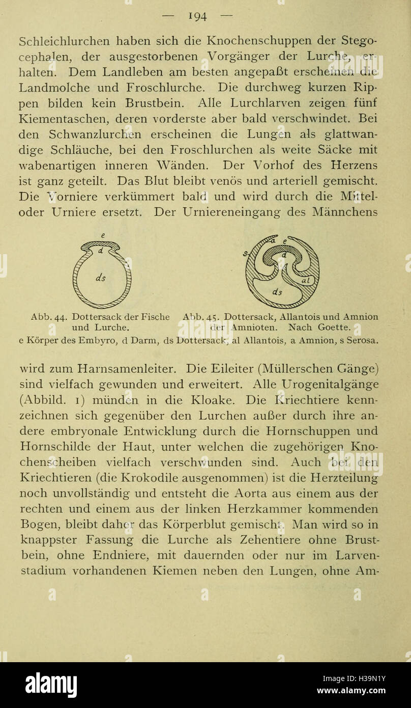 This German work discusses the life cycle of native amphibians and ...