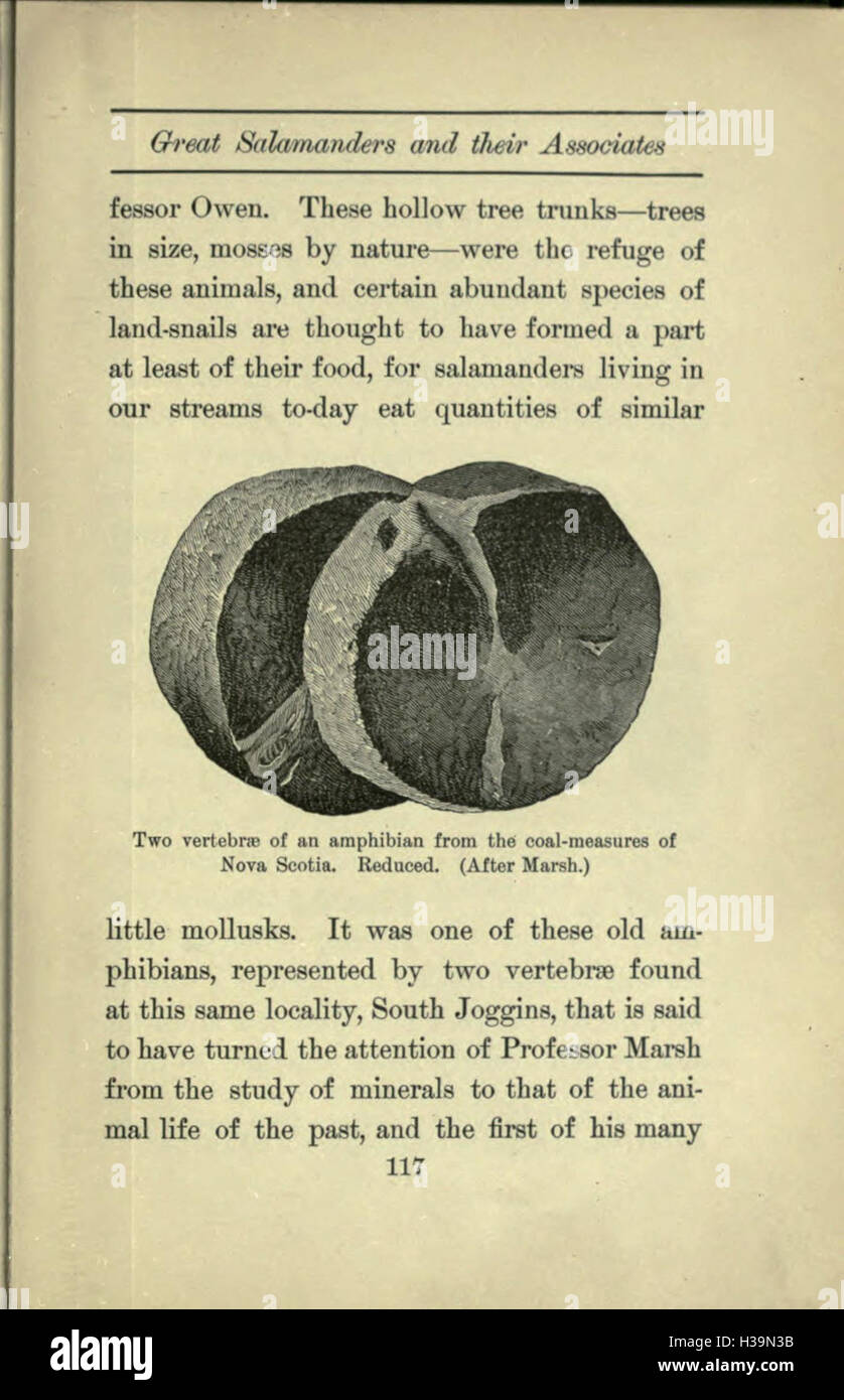 This study provides a detailed exploration of the prehistoric animals ...