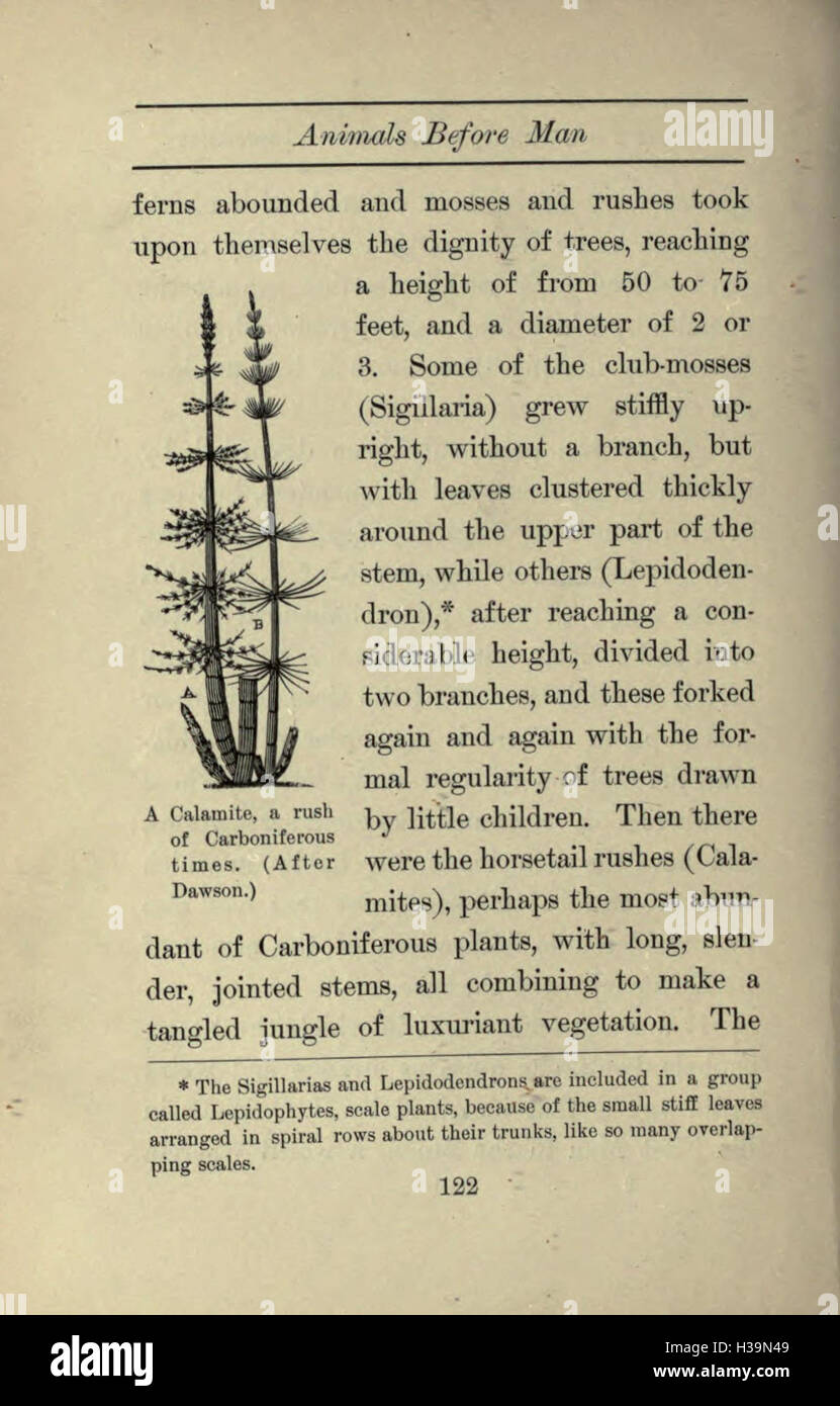 This book explores the prehistoric animals that inhabited North America ...