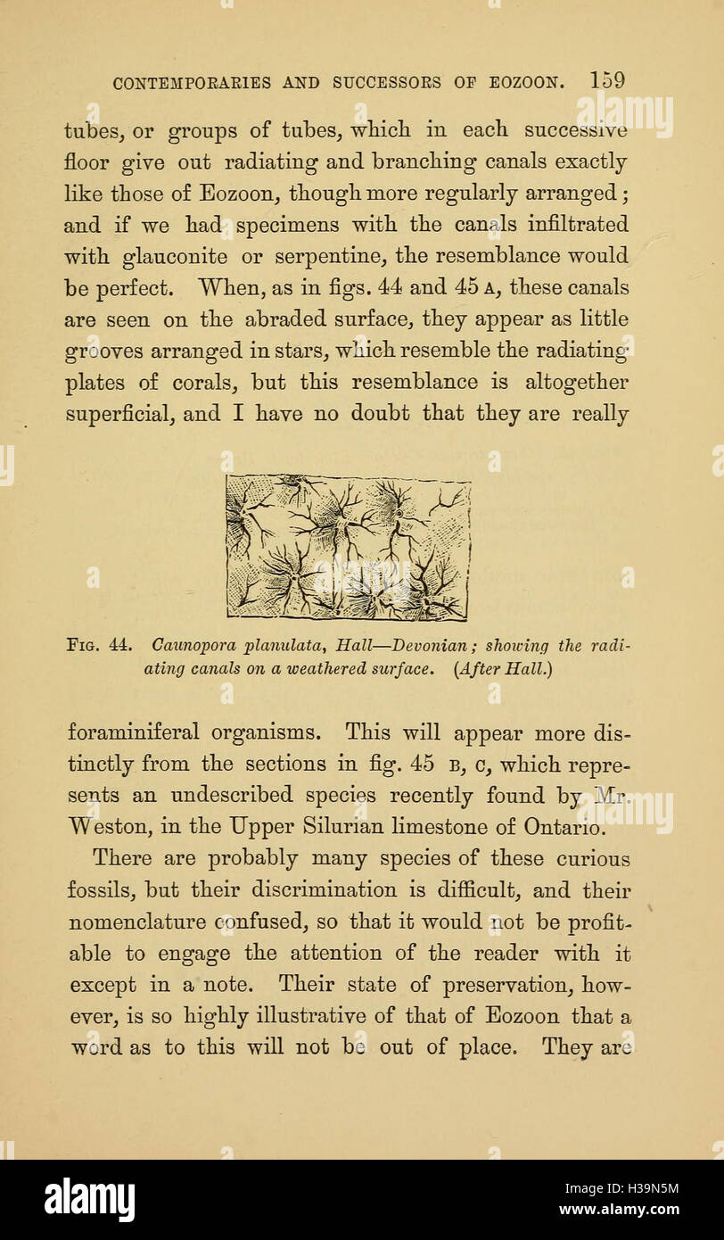 This work focuses on the early stages of life on Earth, examining the ...
