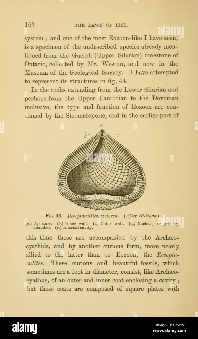 This work explores the early stages of life on Earth, focusing on the ...