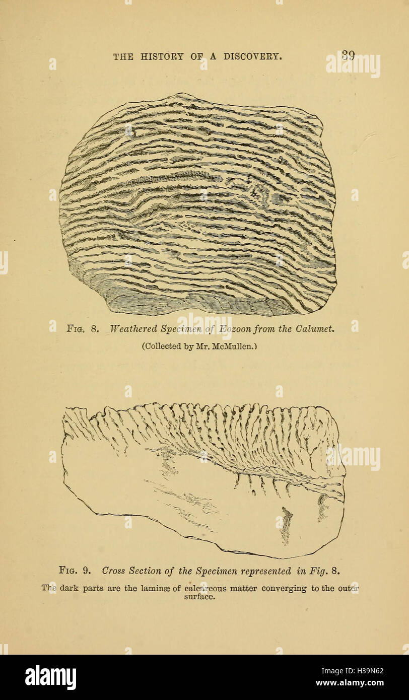 This work explores the origins of life on Earth, focusing on early life ...