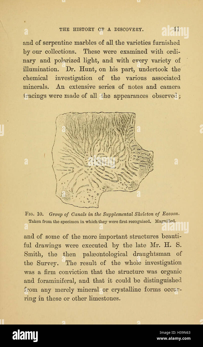 This page explores the early stages of life on Earth, focusing on the ...