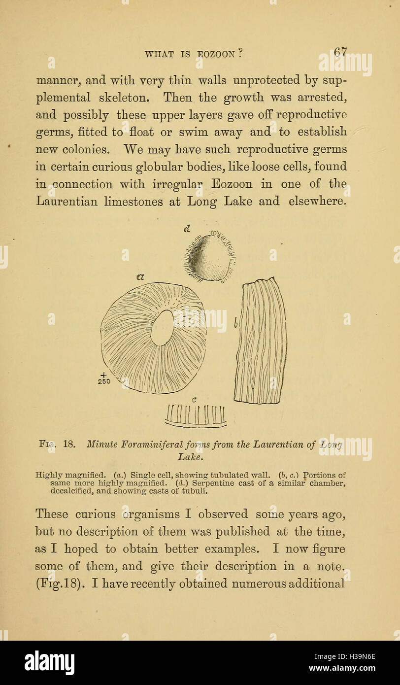 This work explores the early stages of life on Earth, focusing on the ...