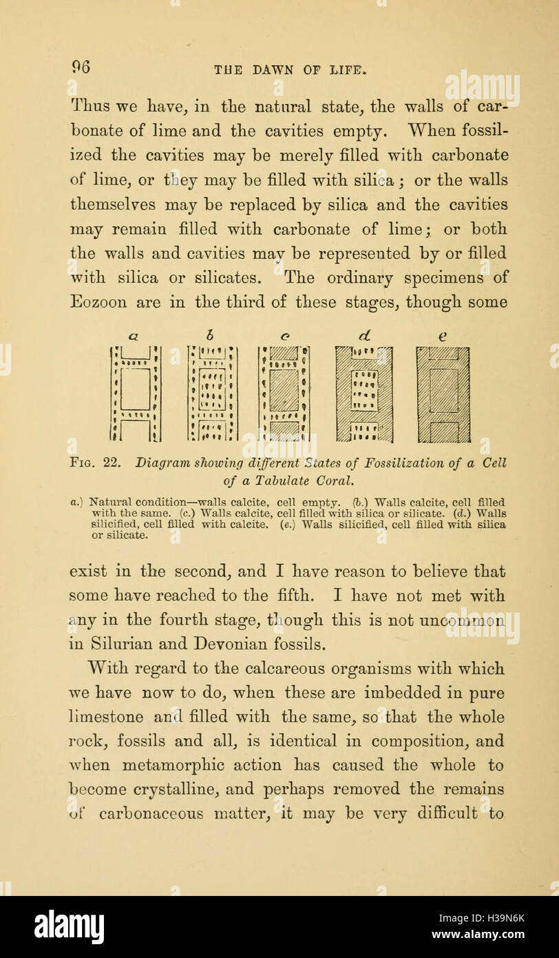 This page illustrates the dawn of life, depicting the earliest stages ...