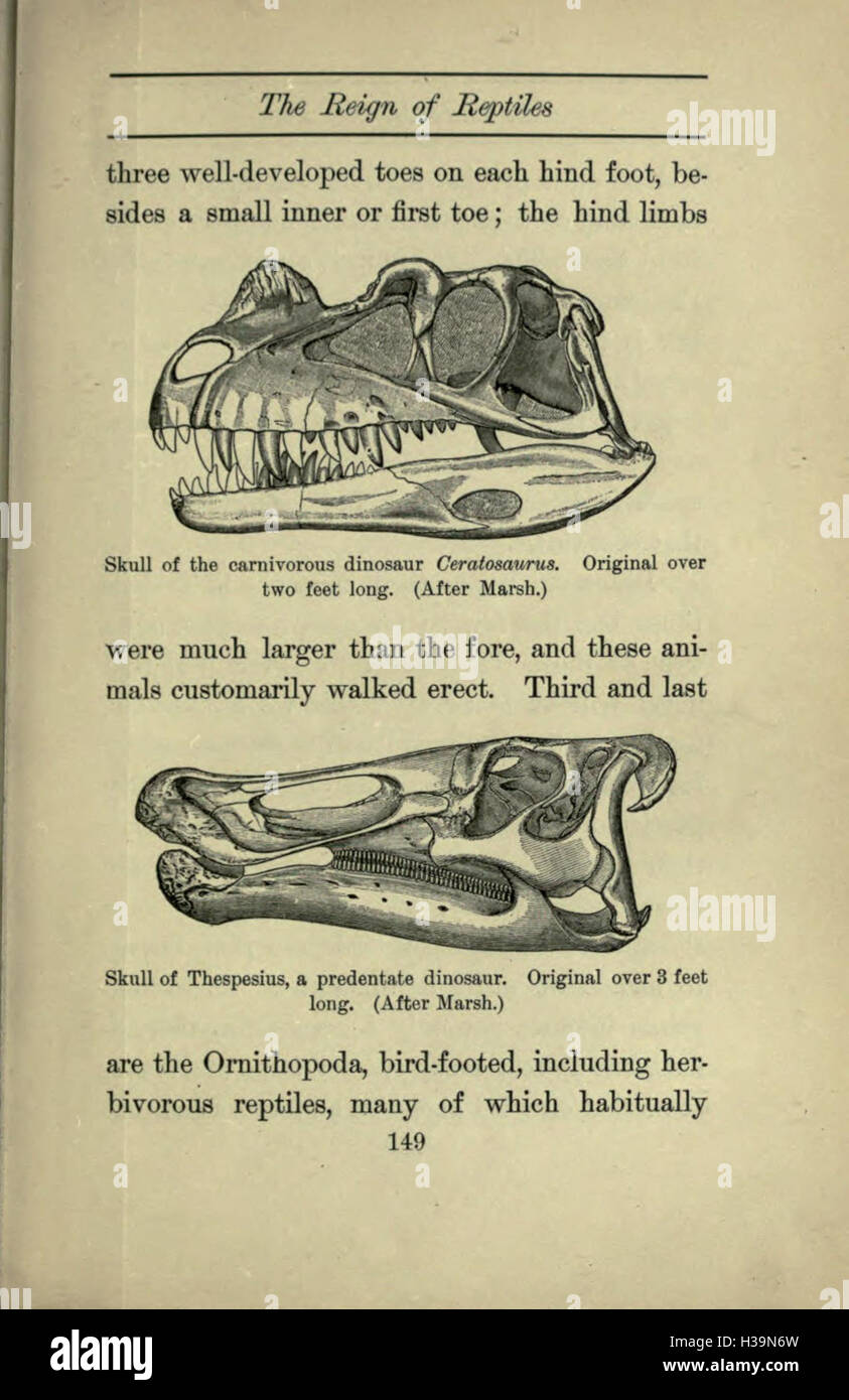 An exploration of the prehistoric animals that inhabited North America ...