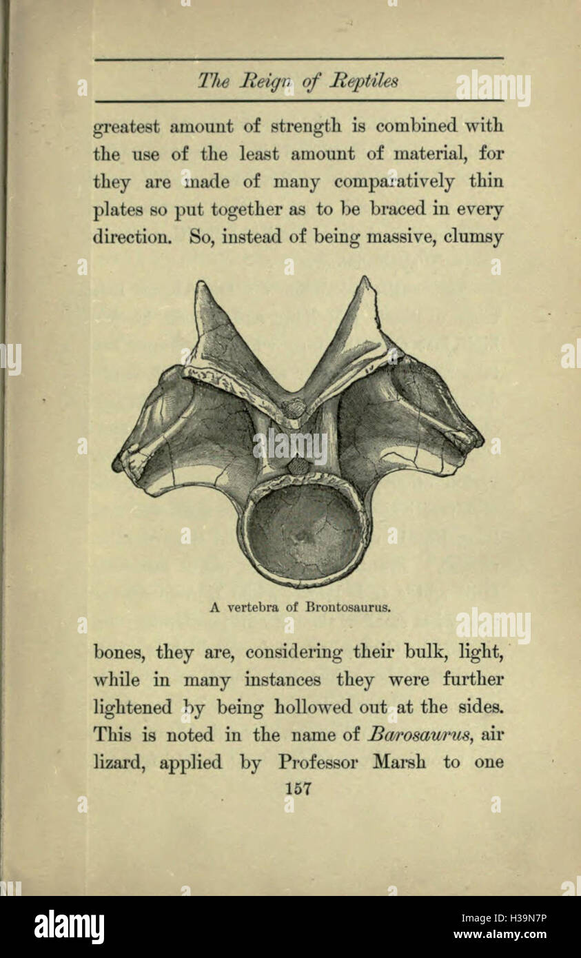 This work examines the prehistoric animals of North America, focusing ...
