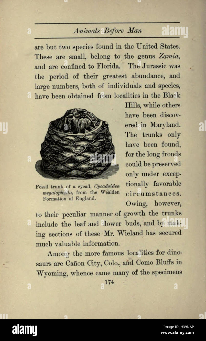 This work covers prehistoric North American fauna, focusing on animals ...